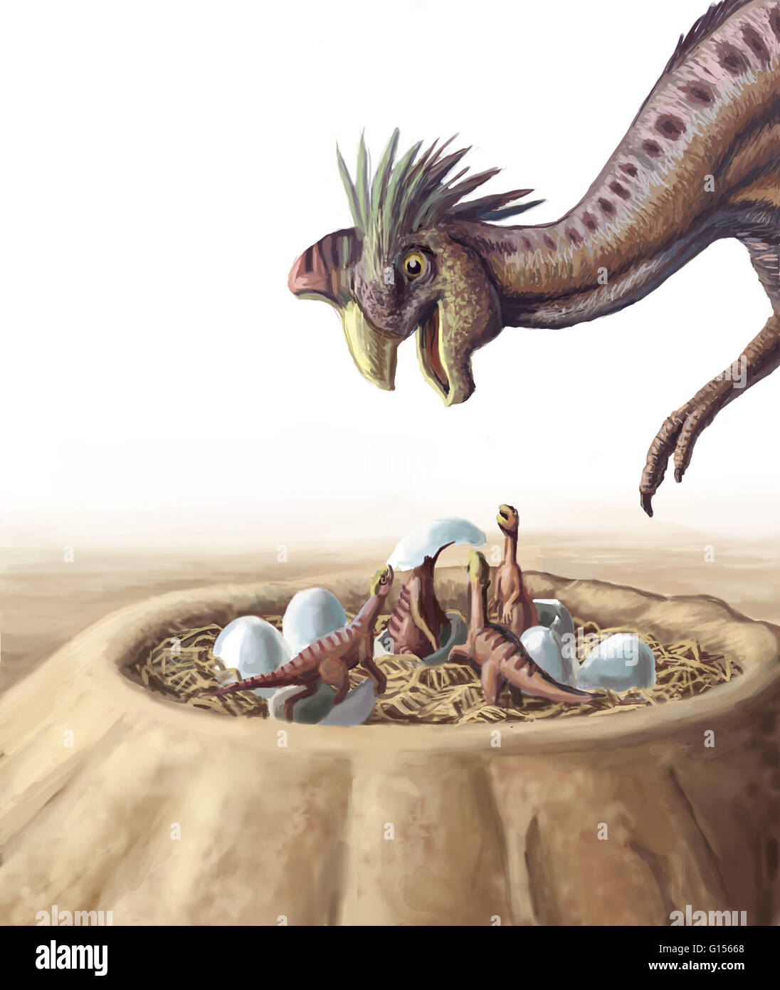 Oviraptor fossil immagini e fotografie stock ad alta risoluzione - Alamy