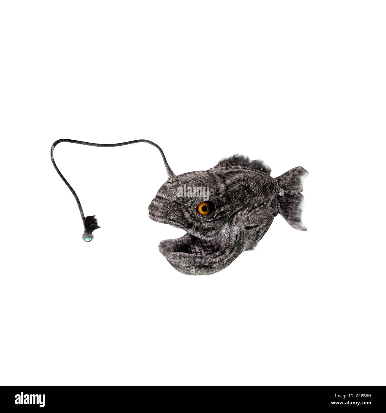 Pesce lanterna illustazione immagini e fotografie stock ad alta ...