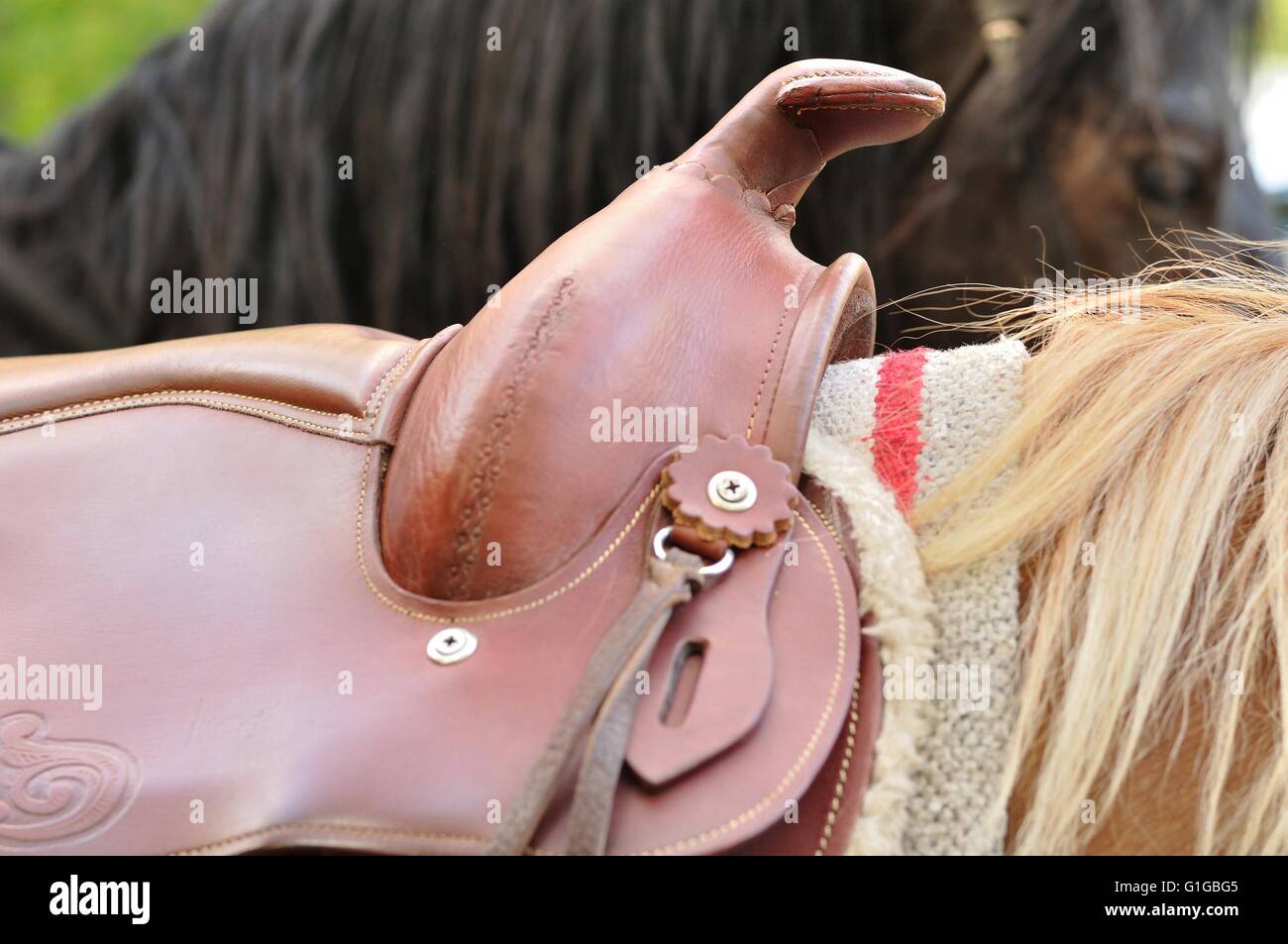 Sella da cavallo immagini e fotografie stock ad alta risoluzione - Alamy
