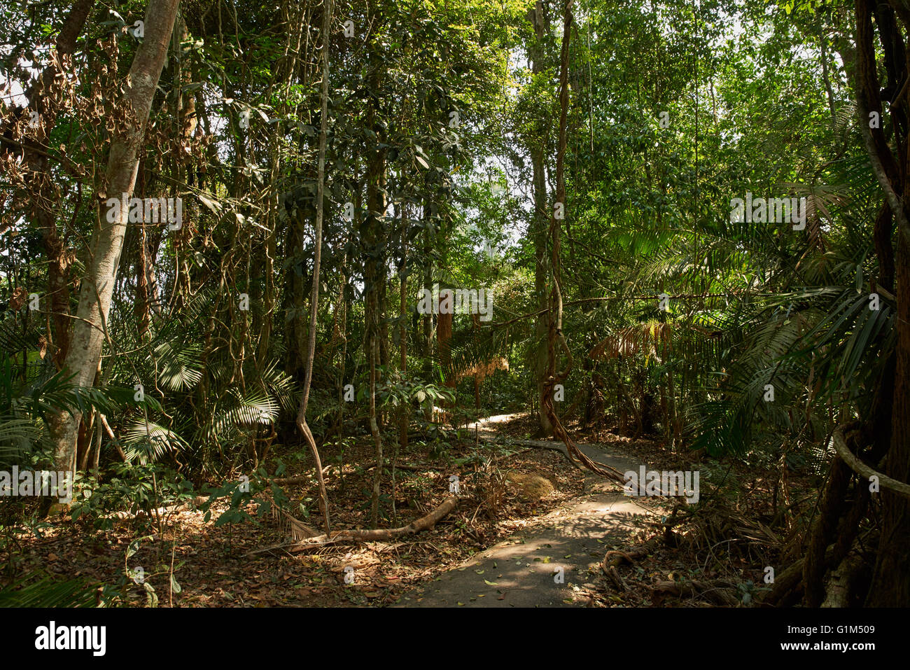 Khao yai immagini e fotografie stock ad alta risoluzione - Alamy