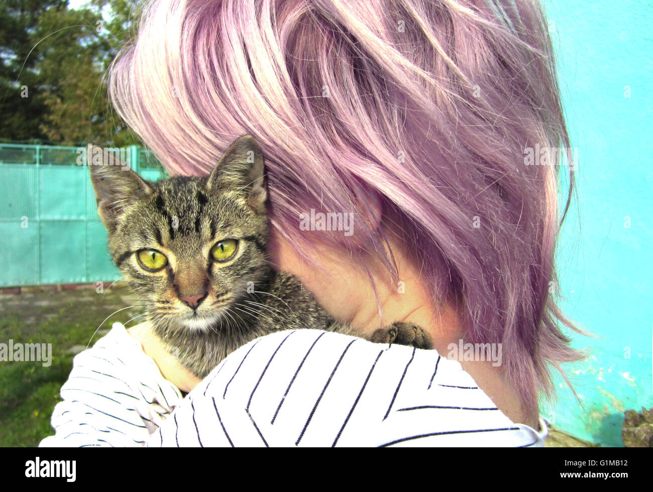 Amore di gatto immagini e fotografie stock ad alta risoluzione - Alamy