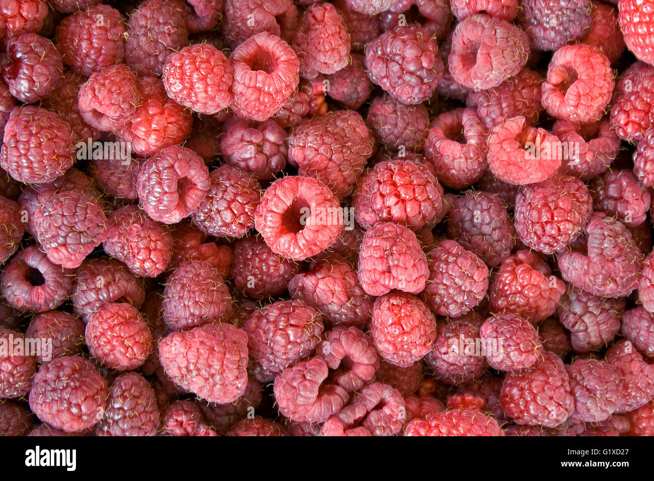Lampone rosso immagini e fotografie stock ad alta risoluzione - Alamy