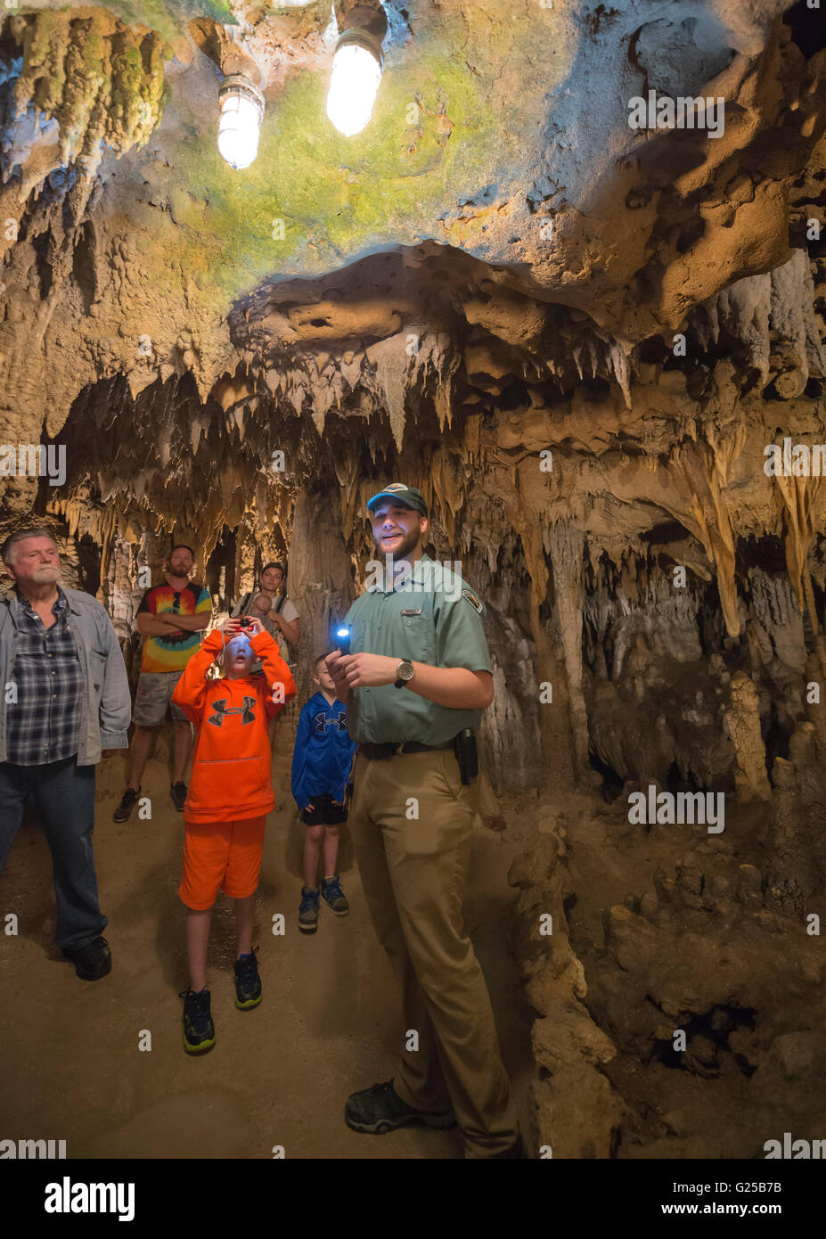 Parco nazionale delle grotte della florida immagini e fotografie stock ...