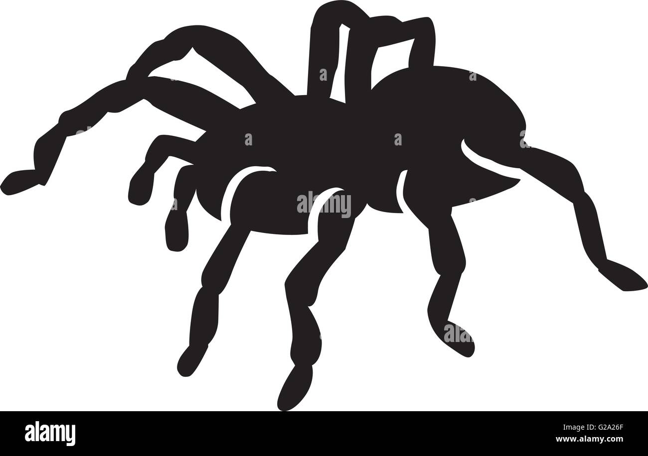 Clipart Sagoma Ragno Silhouette Di Un Insetto Tarantola Ragno In Forma
