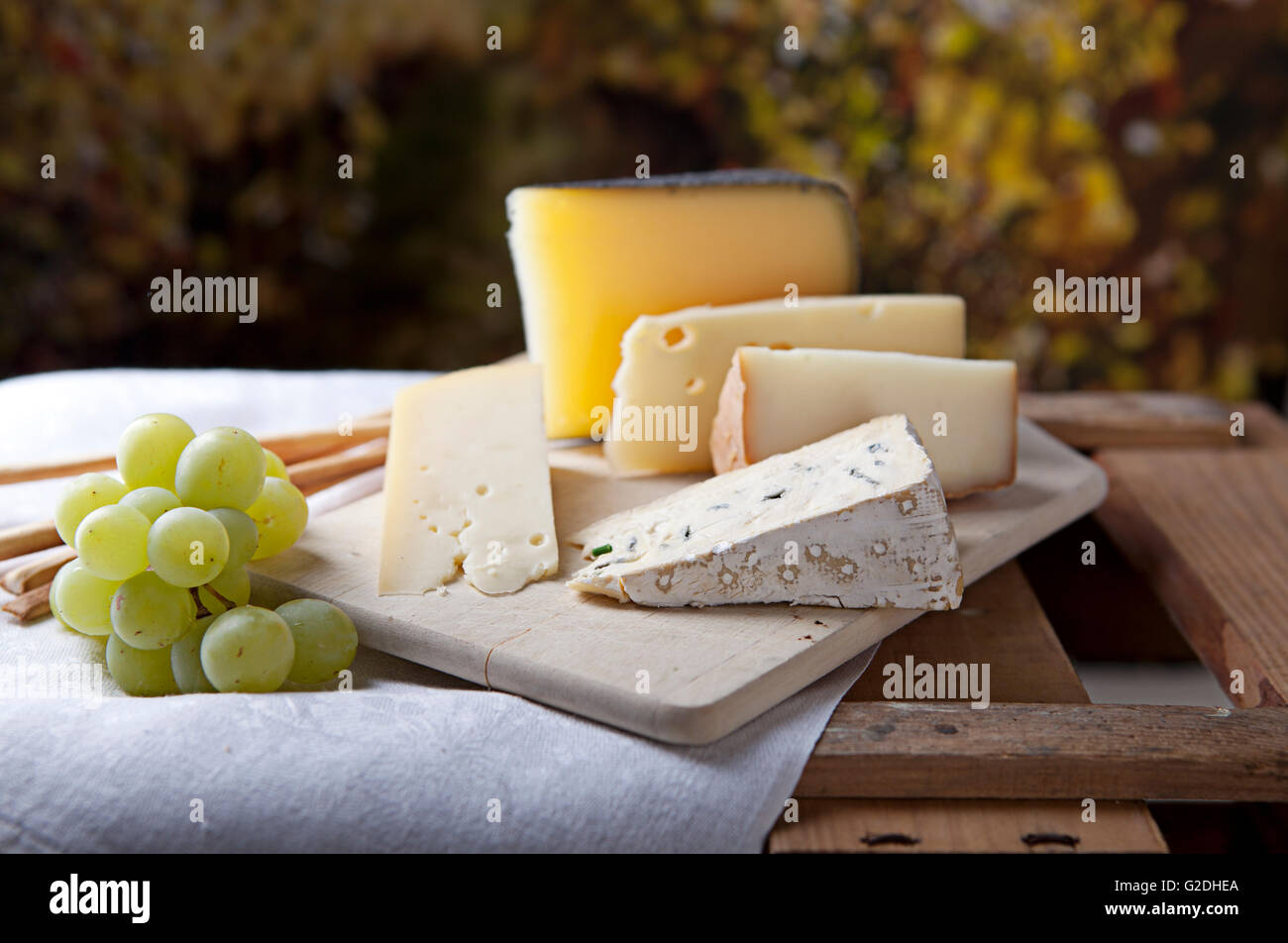 Formaggio artigianale francese immagini e fotografie stock ad alta ...