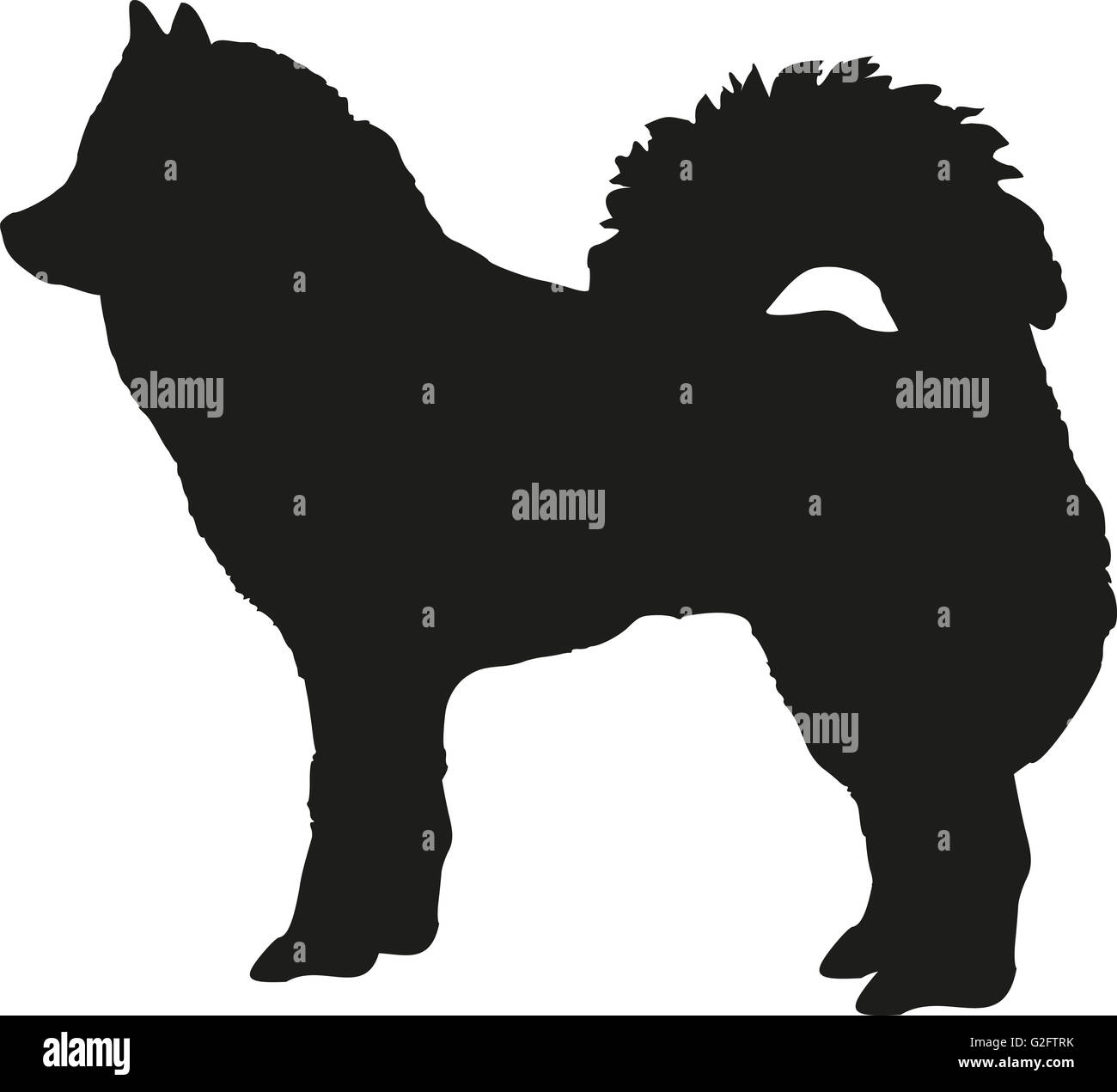 Pittogramma del cane immagini e fotografie stock ad alta risoluzione ...