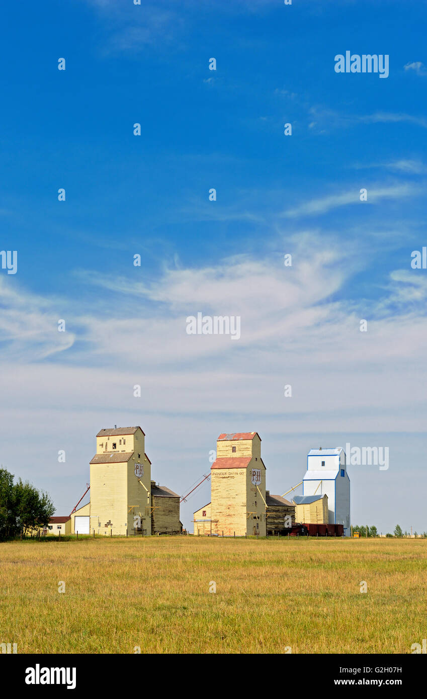 Elevatori di grano mossleigh alberta immagini e fotografie stock ad ...