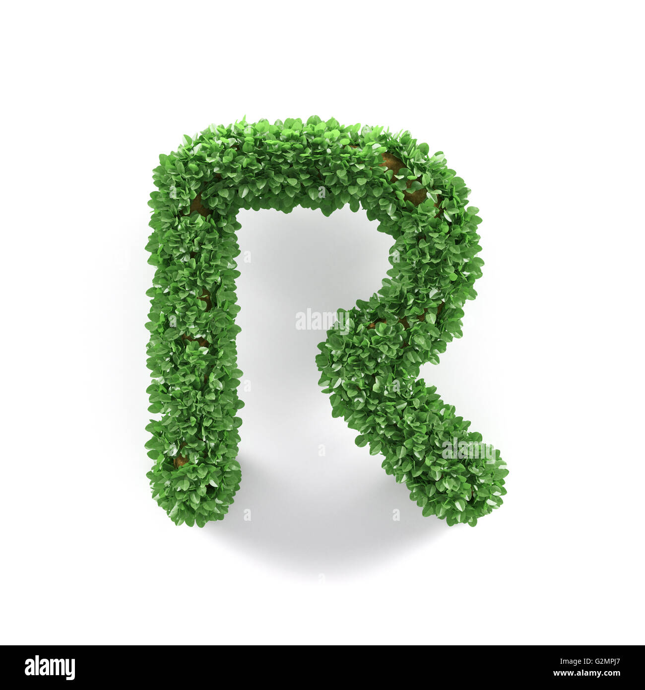 La lettera r dell'alfabeto con foglie immagini e fotografie stock ad ...