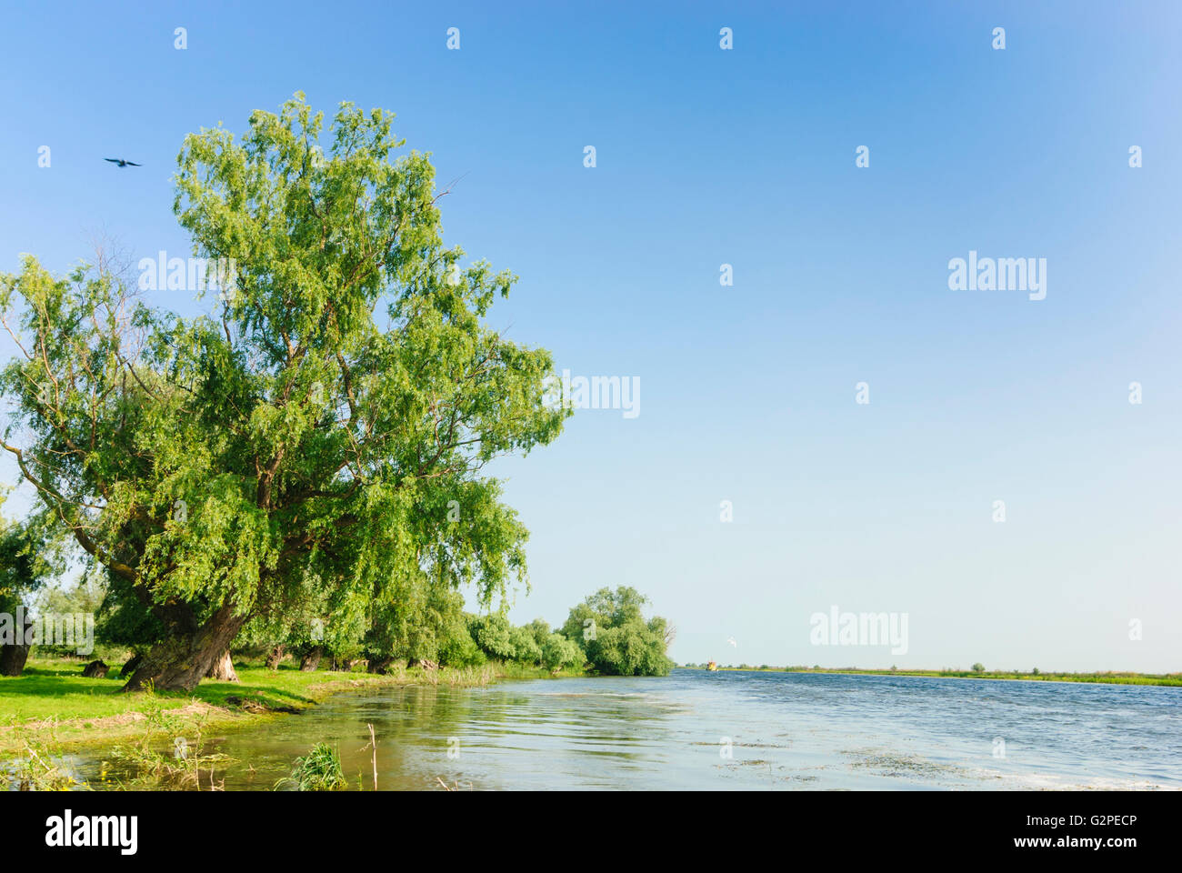 Delta del danubio immagini e fotografie stock ad alta risoluzione - Alamy