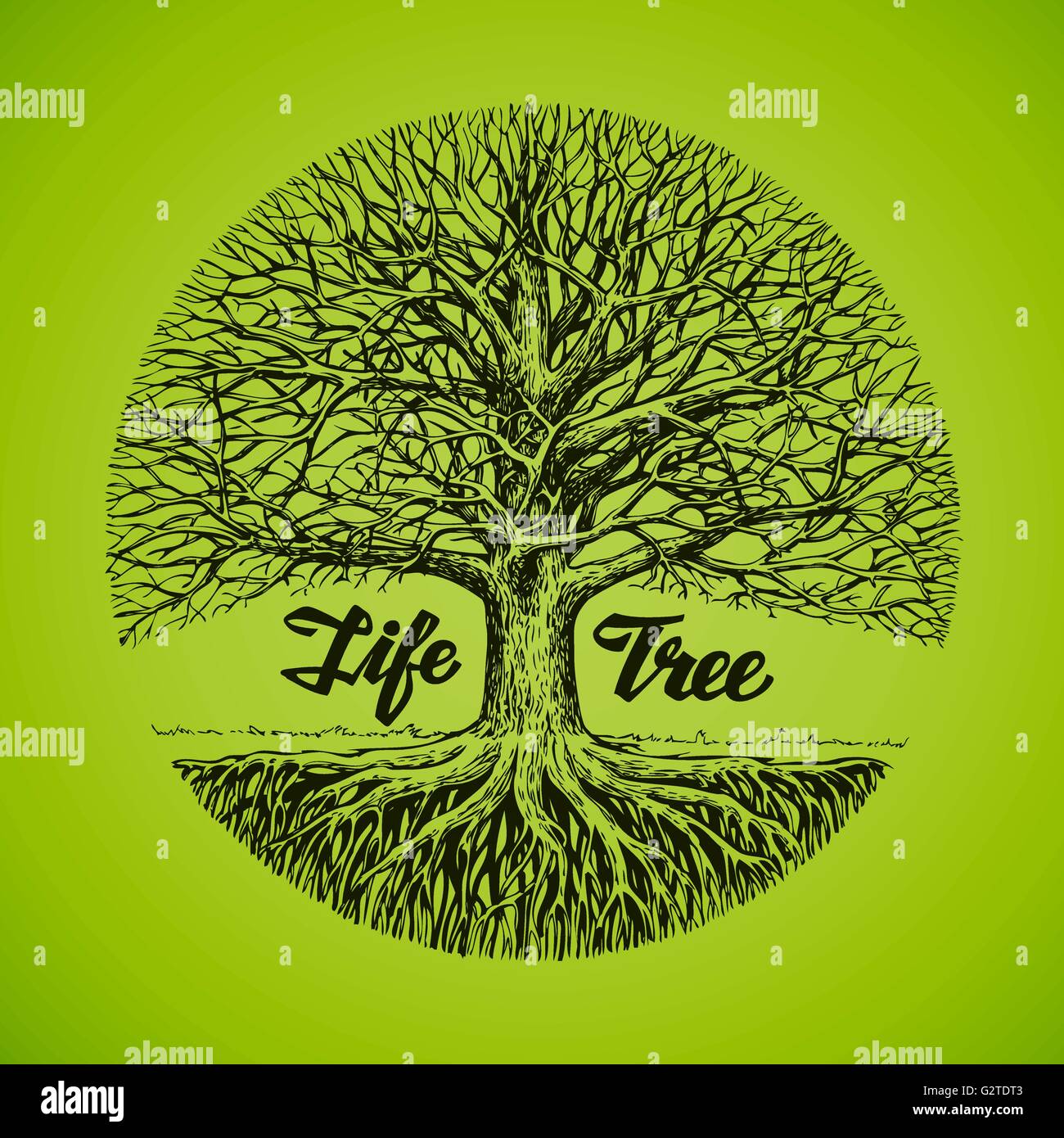 Disegnato a mano disegno vettoriale albero con radici. Ecologia e ...