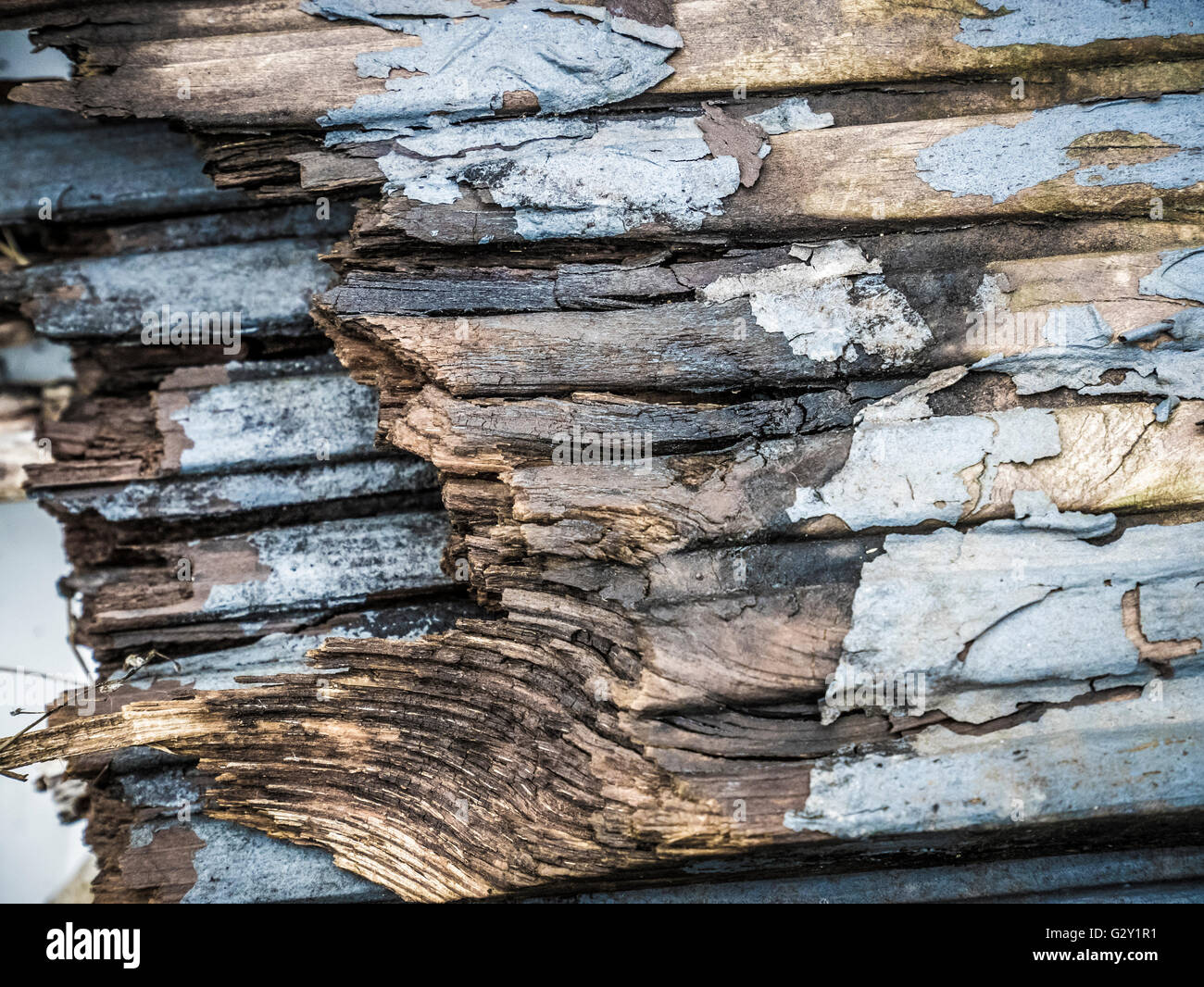 Legno indesiderato immagini e fotografie stock ad alta risoluzione - Alamy