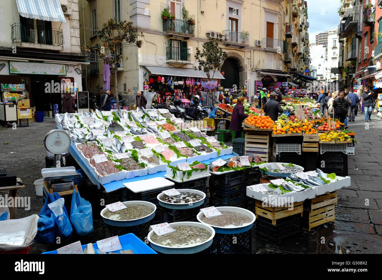 Pignasecca mercato del pesce, Napoli, Campania, Italia, Europa Foto ... Pignasecca mercato del pesce, Napoli, Campania, Italia, Europa Foto ...