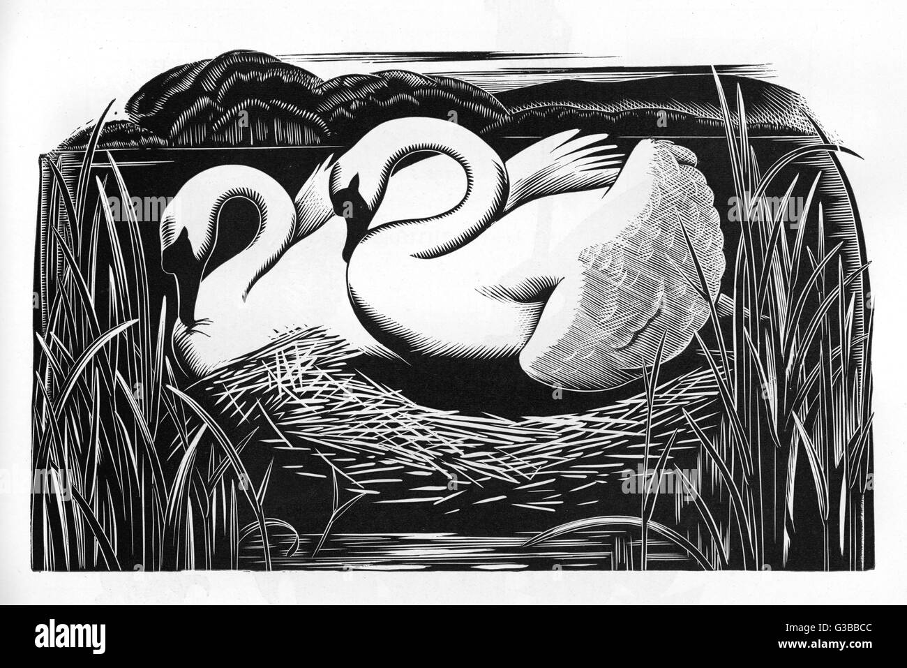 Due loro Foto e Immagini Stock in Bianco e Nero - Alamy