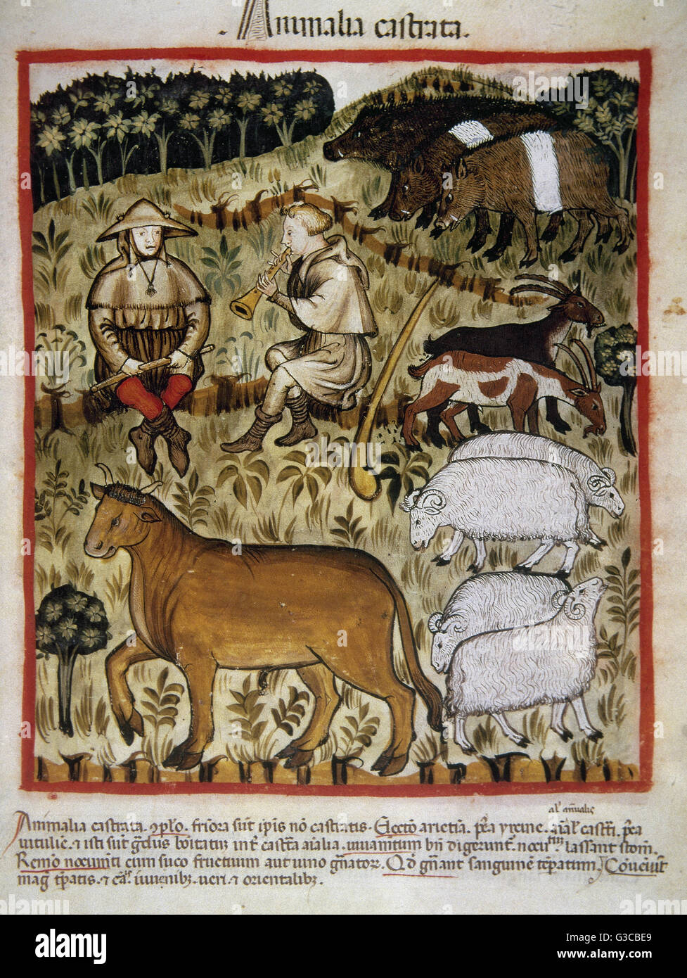 Medieval trumpet immagini e fotografie stock ad alta risoluzione - Alamy
