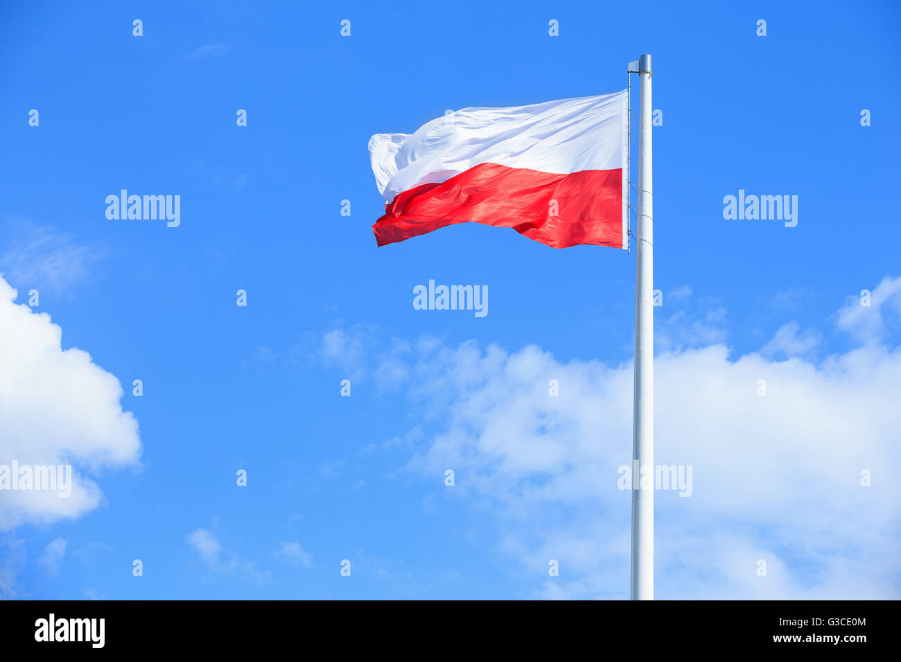 Bandiera polacca ondulata immagini e fotografie stock ad alta ...