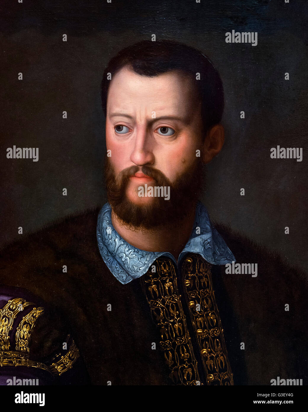 Grand duke of tuscany cosimo i de medici immagini e fotografie stock ad ...