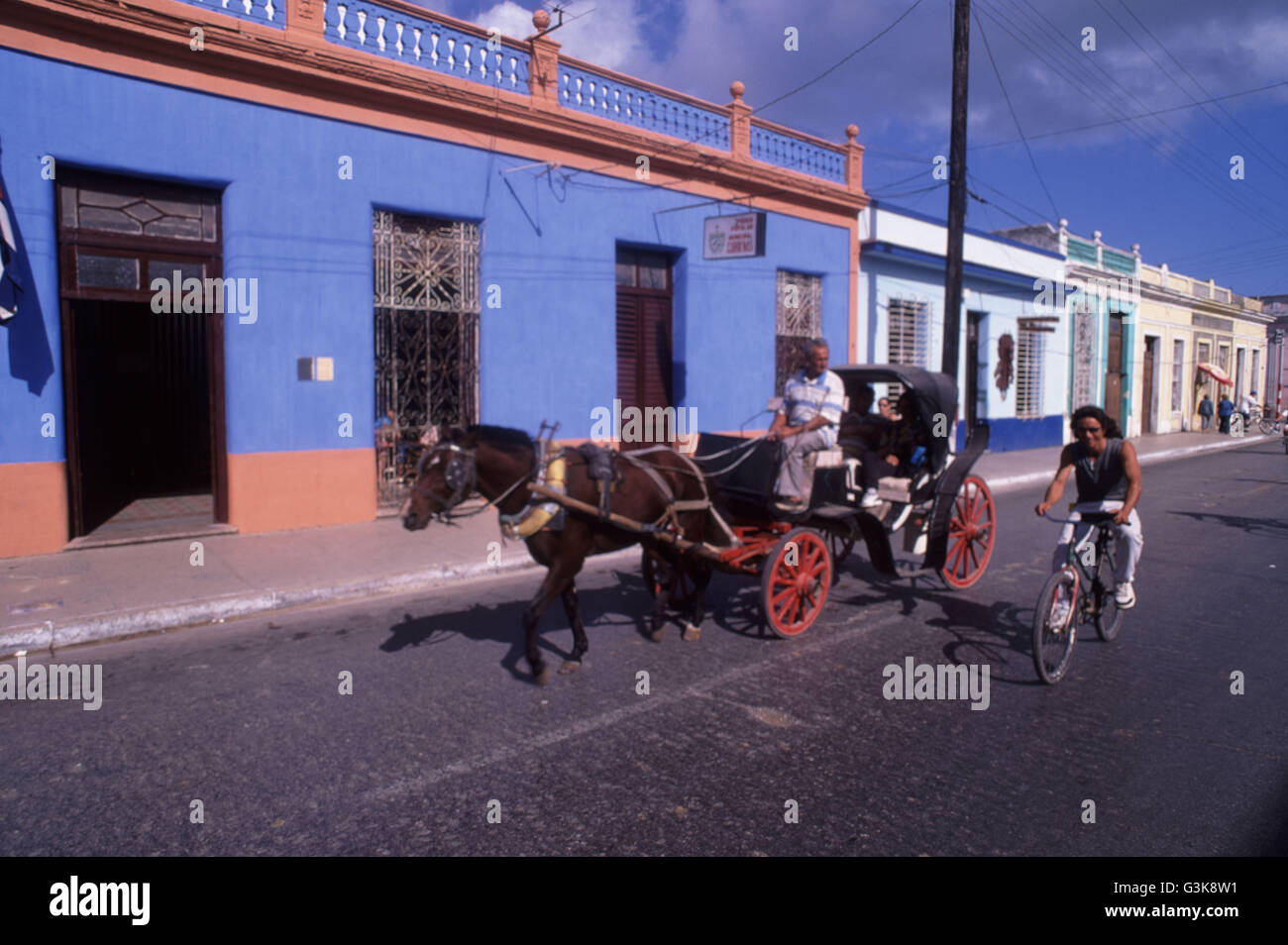 Abuso di cavalli immagini e fotografie stock ad alta risoluzione - Alamy