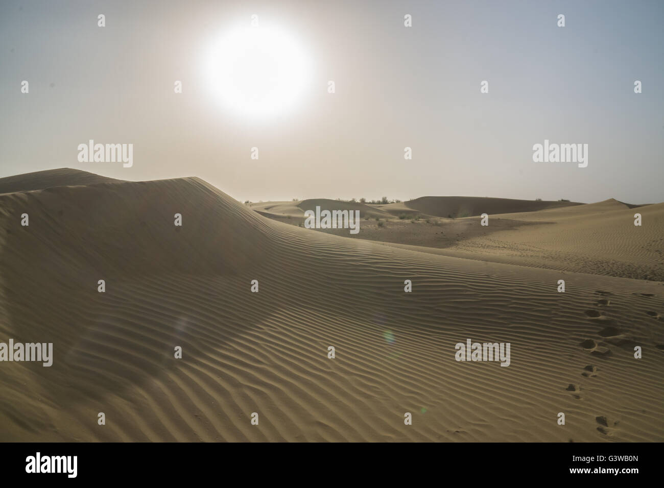 Calda estate nel deserto del thar immagini e fotografie stock ad alta ...