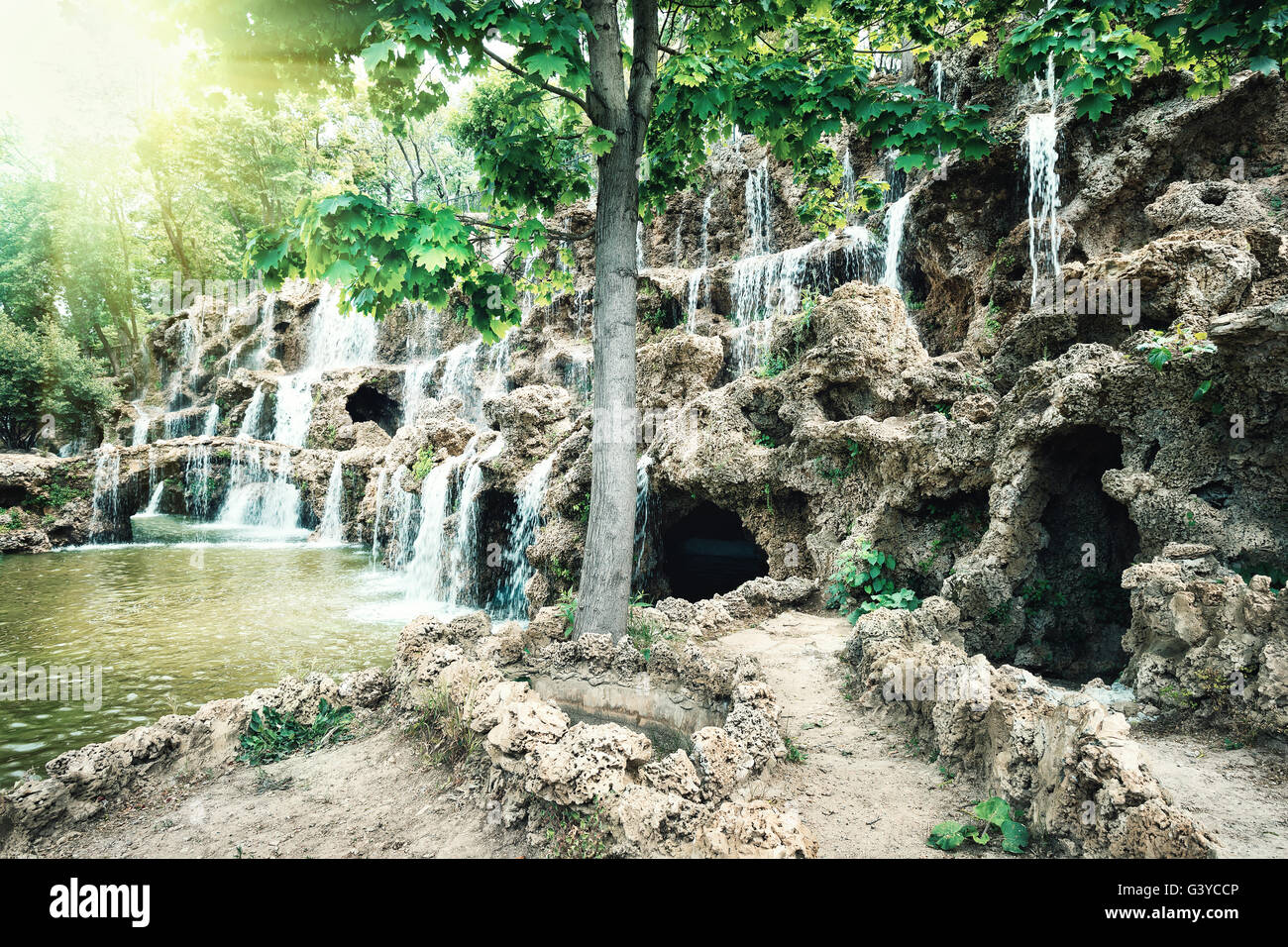 Rocce sotto gli alberi immagini e fotografie stock ad alta risoluzione ...