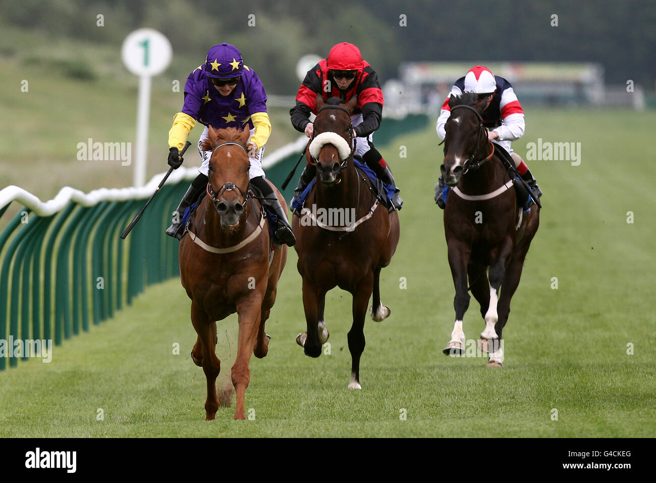 Jockey kelly harrison su ragazzo errigal immagini e fotografie stock ad ...