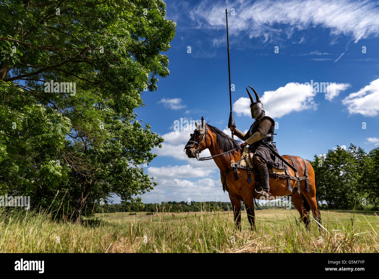 Cavaliere e lancia immagini e fotografie stock ad alta risoluzione - Alamy