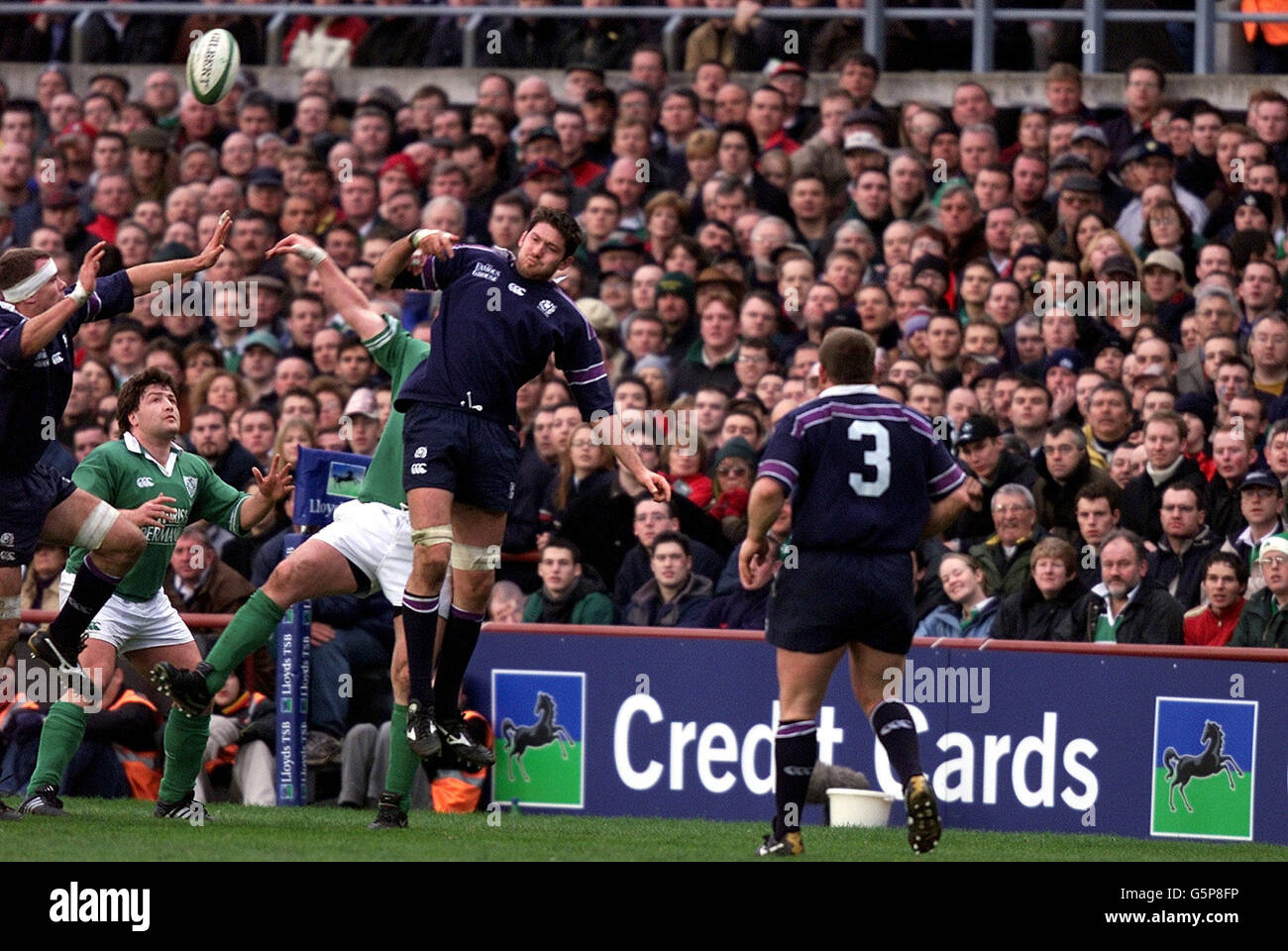 Sport rugby union action scott murray immagini e fotografie stock ad ...