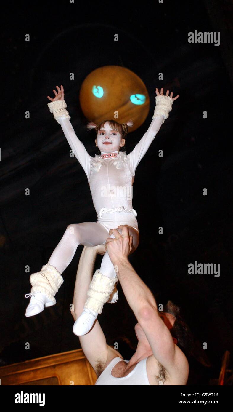 Gatti jessica hill immagini e fotografie stock ad alta risoluzione - Alamy