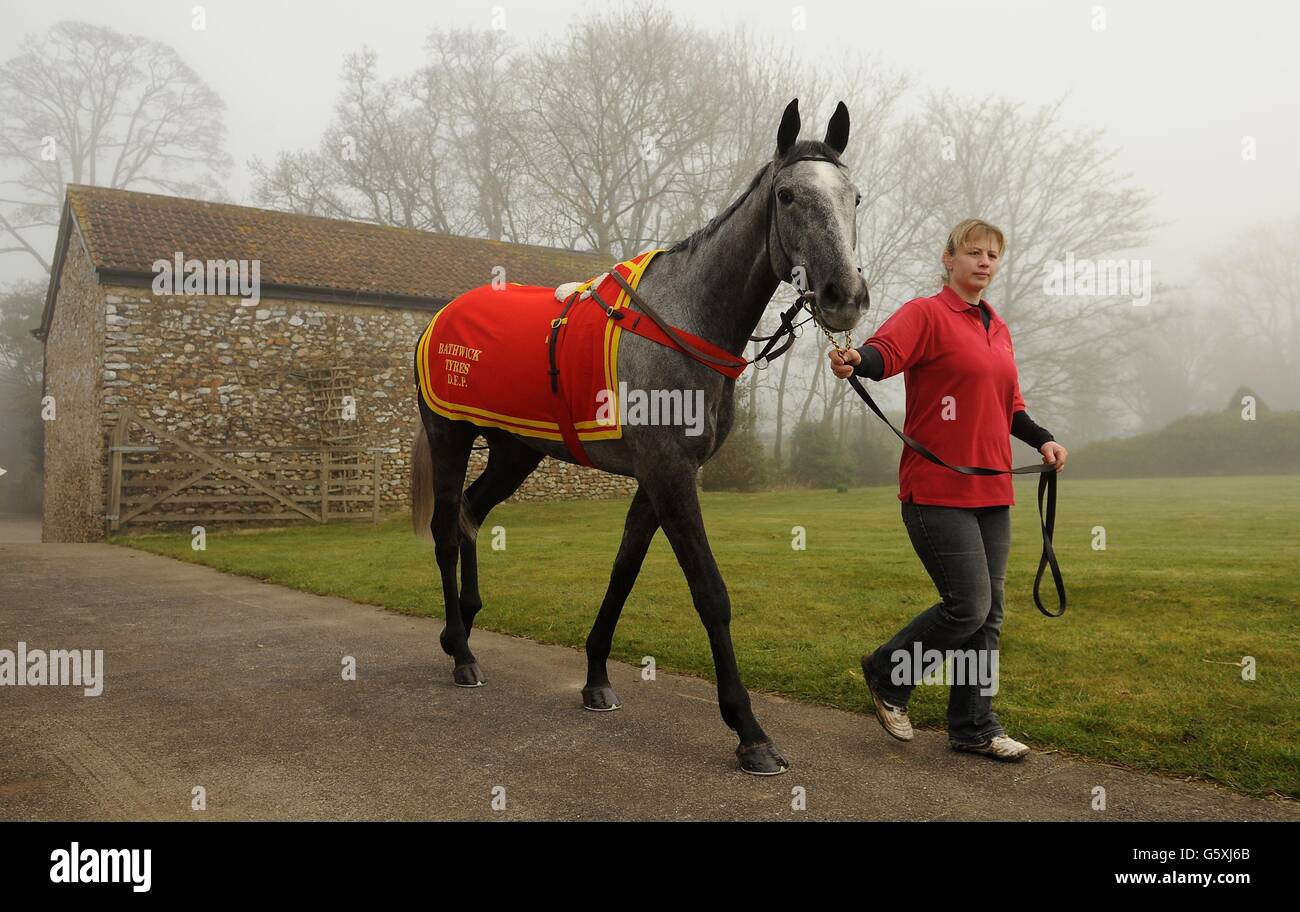 Visitare le scuderie di david pipe immagini e fotografie stock ad alta ...