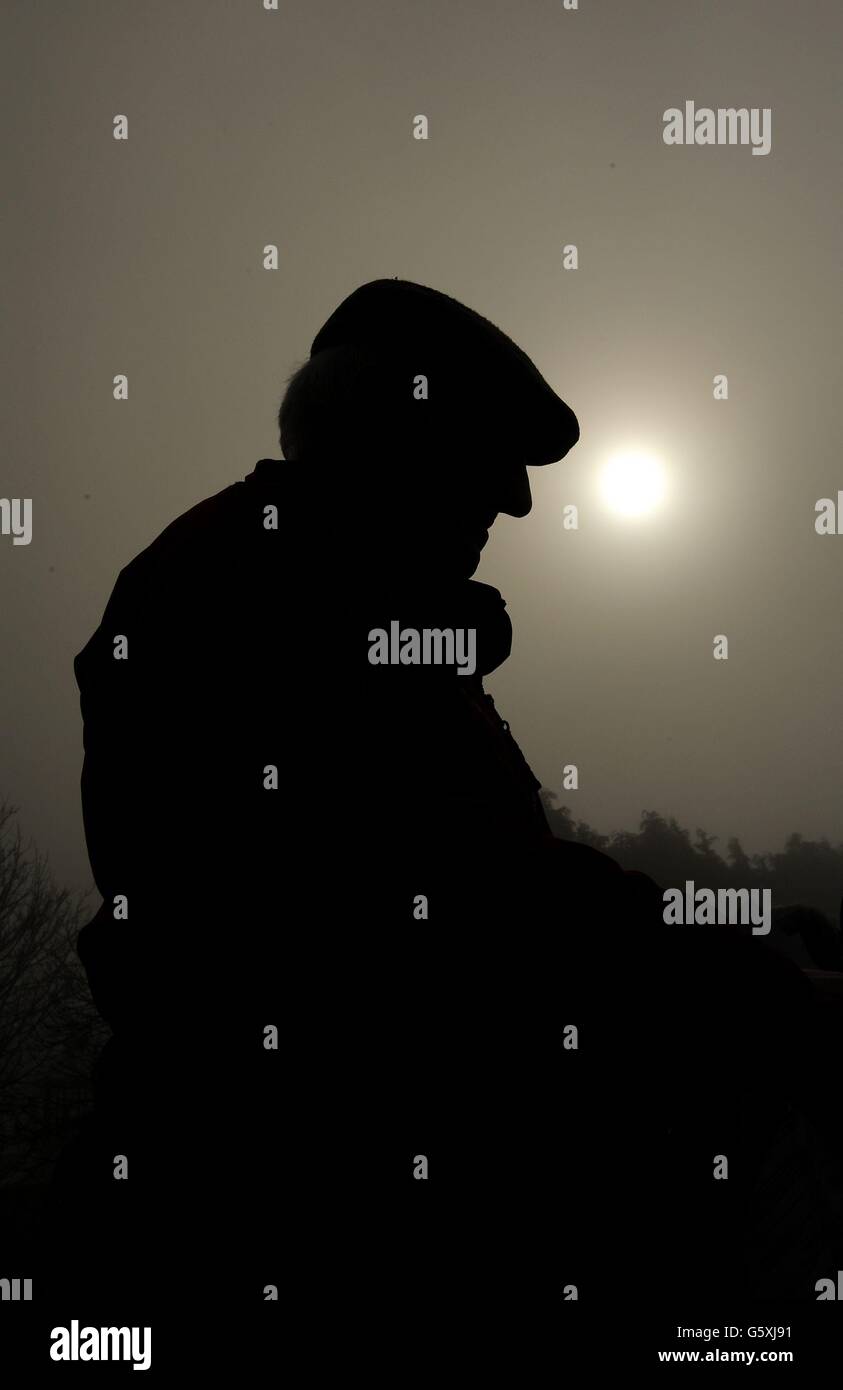 Visitare le scuderie di david pipe immagini e fotografie stock ad alta ...