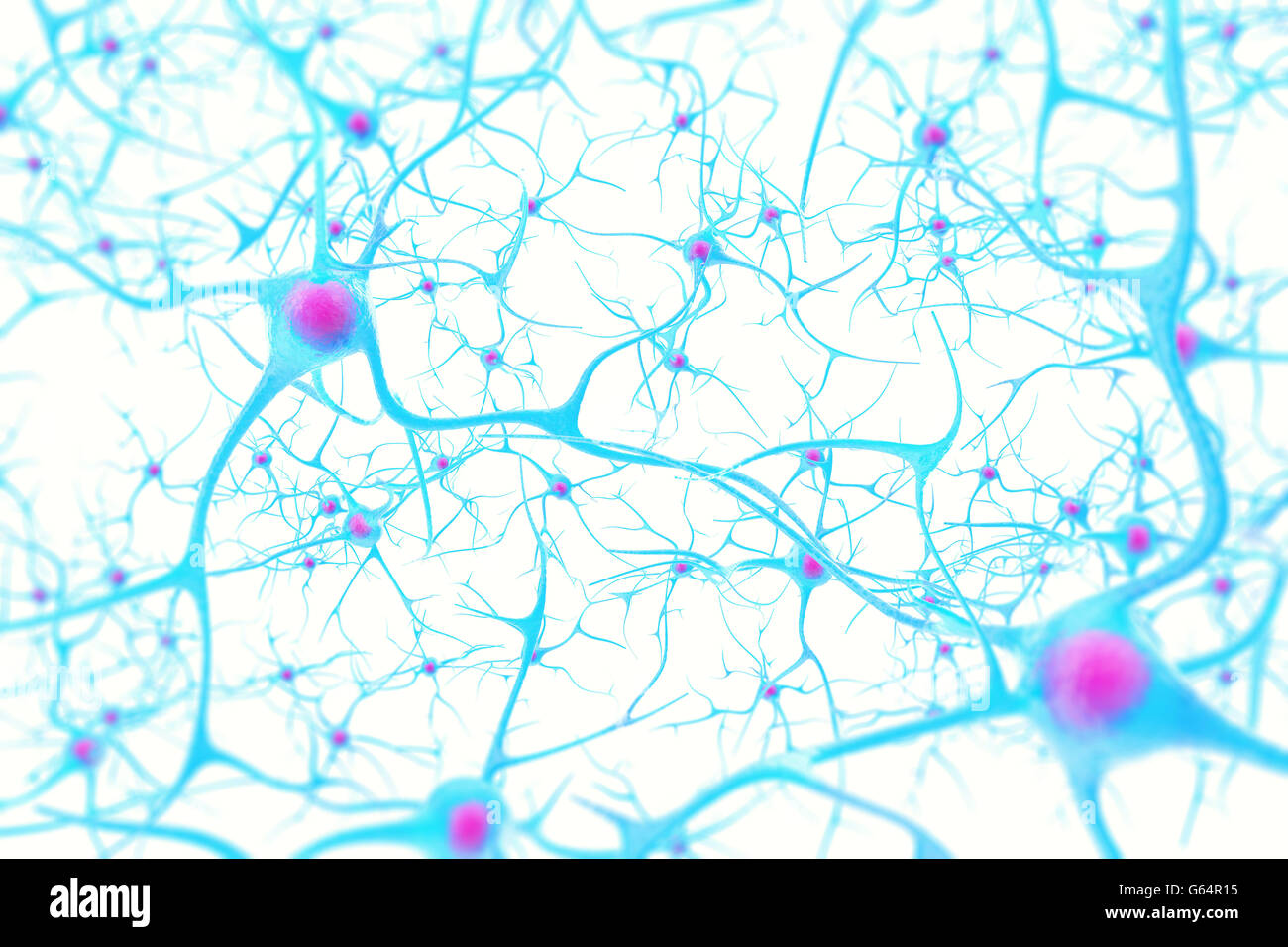 I neuroni nel cervello su sfondo bianco con effetto di messa a fuoco ...