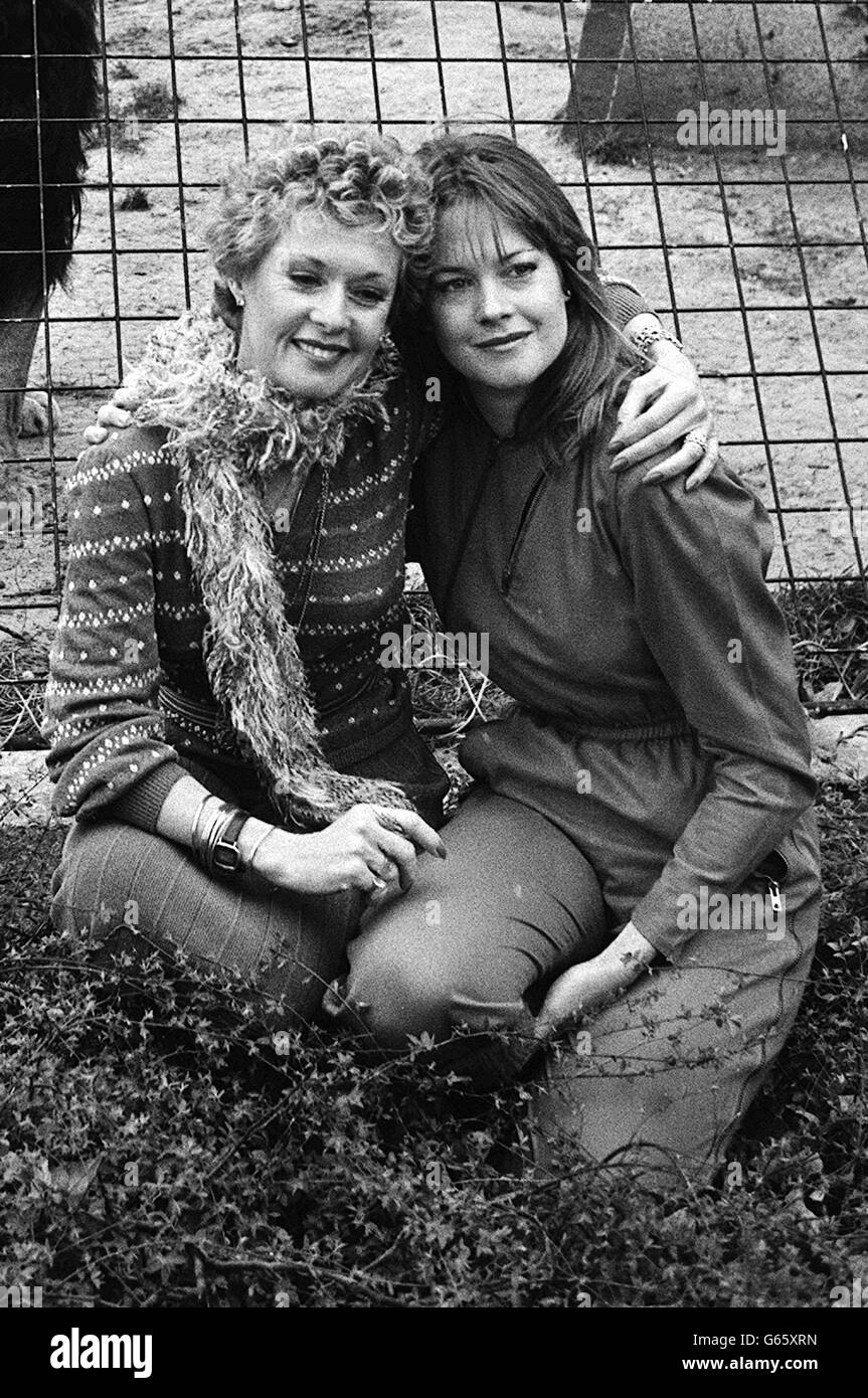 Tippi hedron immagini e fotografie stock ad alta risoluzione - Alamy