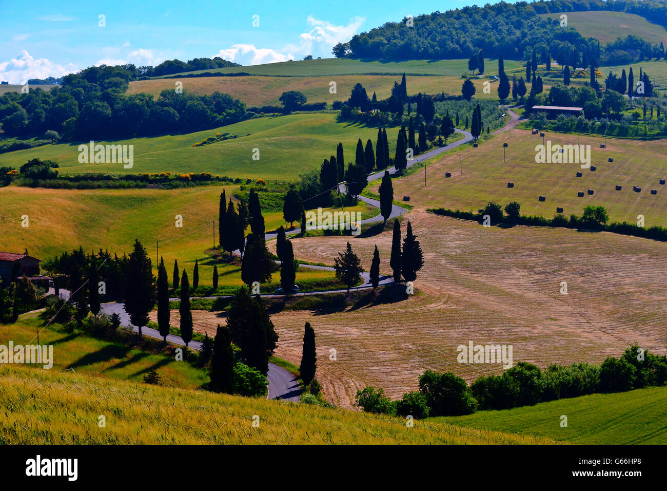 Strada alberata di cipressi in toscana immagini e fotografie stock ad ...