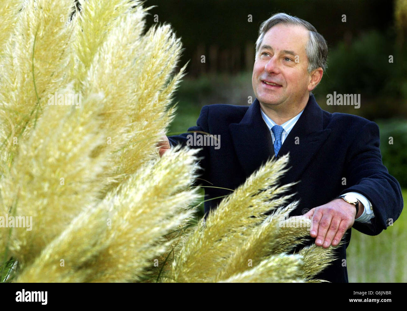David bowes lyon immagini e fotografie stock ad alta risoluzione - Alamy