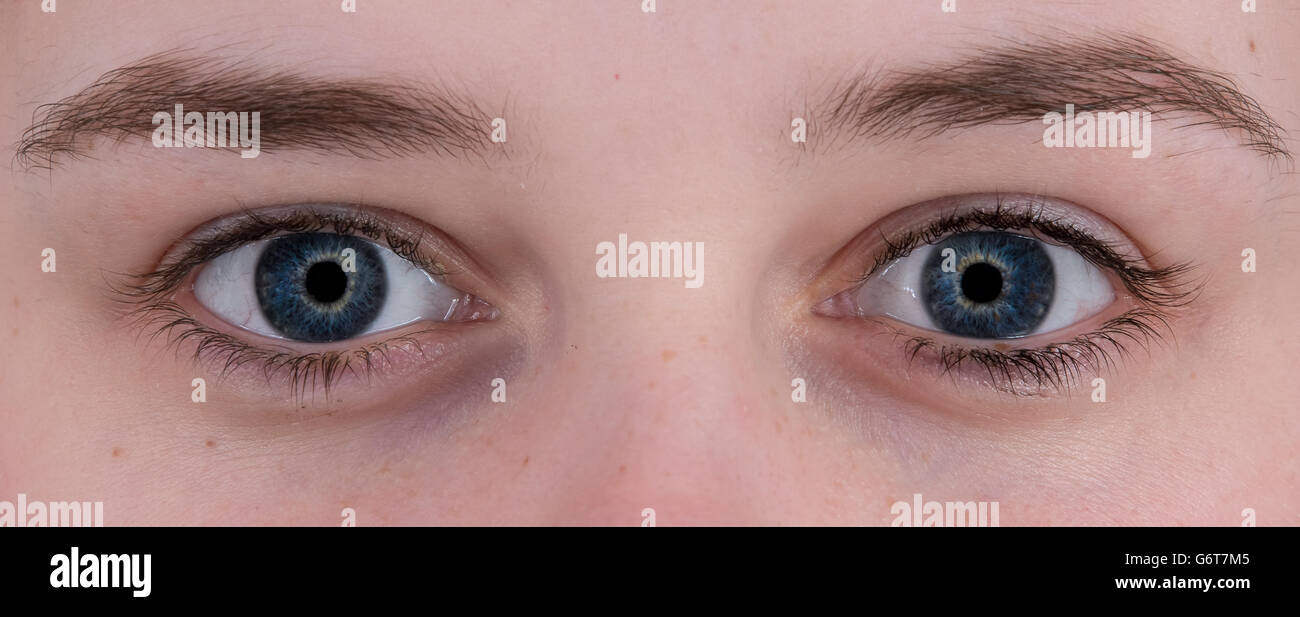 Primo piano di una coppia di blu occhi umani Foto stock - Alamy