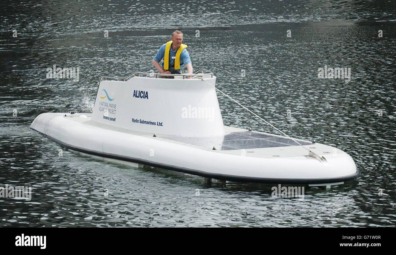 Dare ai turisti una vista panoramica sulla vita marina visitare il ...
