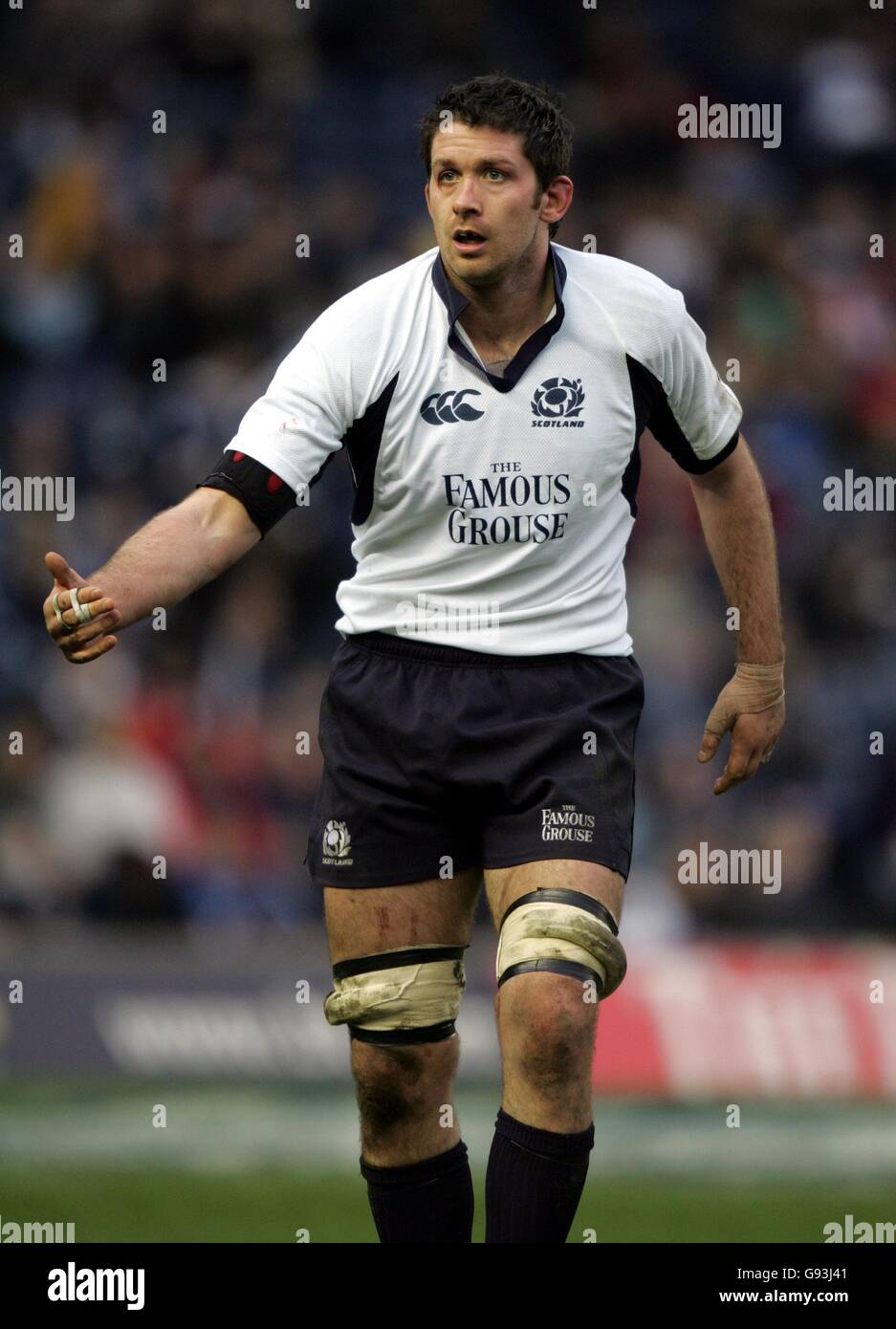 Sport rugby union action scott murray immagini e fotografie stock ad ...