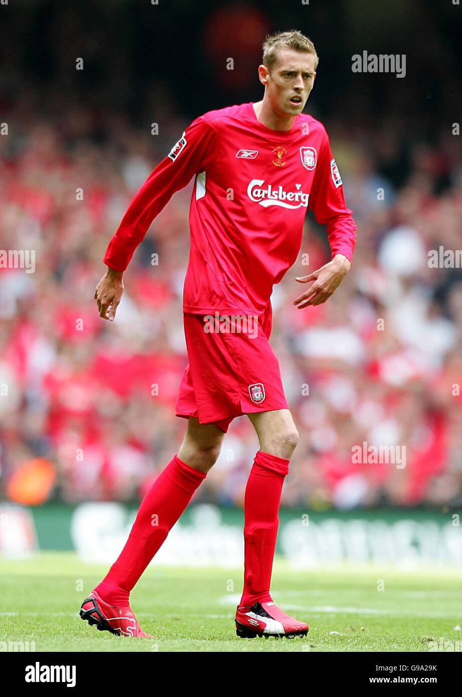 Liverpool pietro si accuccia immagini e fotografie stock ad alta ...