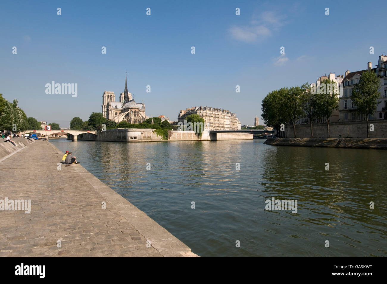 La Senna e la Cattedrale di Notre Dame, Paris, Francia, Europa Foto ...