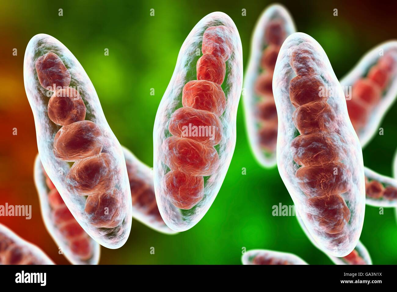 Tinea foot immagini e fotografie stock ad alta risoluzione - Alamy