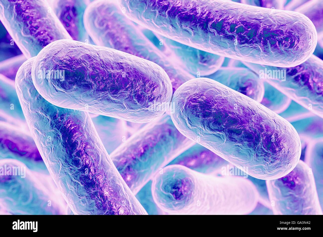 Illustrazione di astiformi di batteri. A forma di asta includono ...