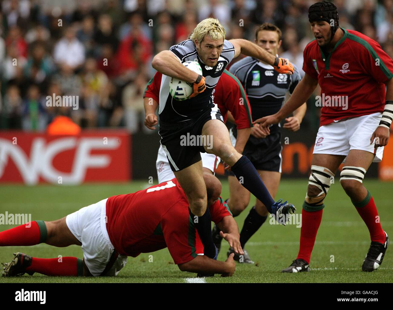Rui cordeiro immagini e fotografie stock ad alta risoluzione - Alamy
