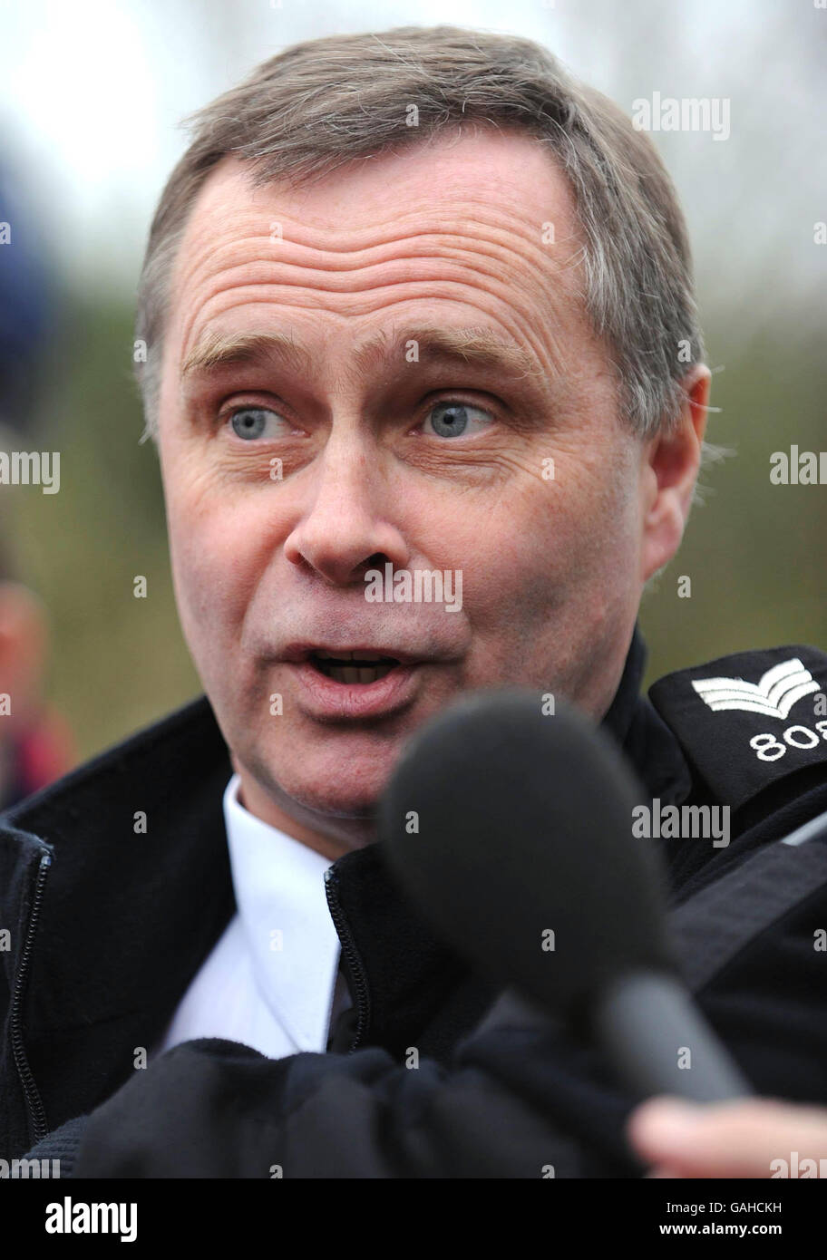 Attaccato da staffordshire bull terrier immagini e fotografie stock ad ...