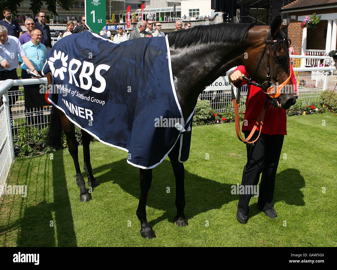 Cavallo a figura intera royal scozia di rbs bank segnaletica immagini e ...