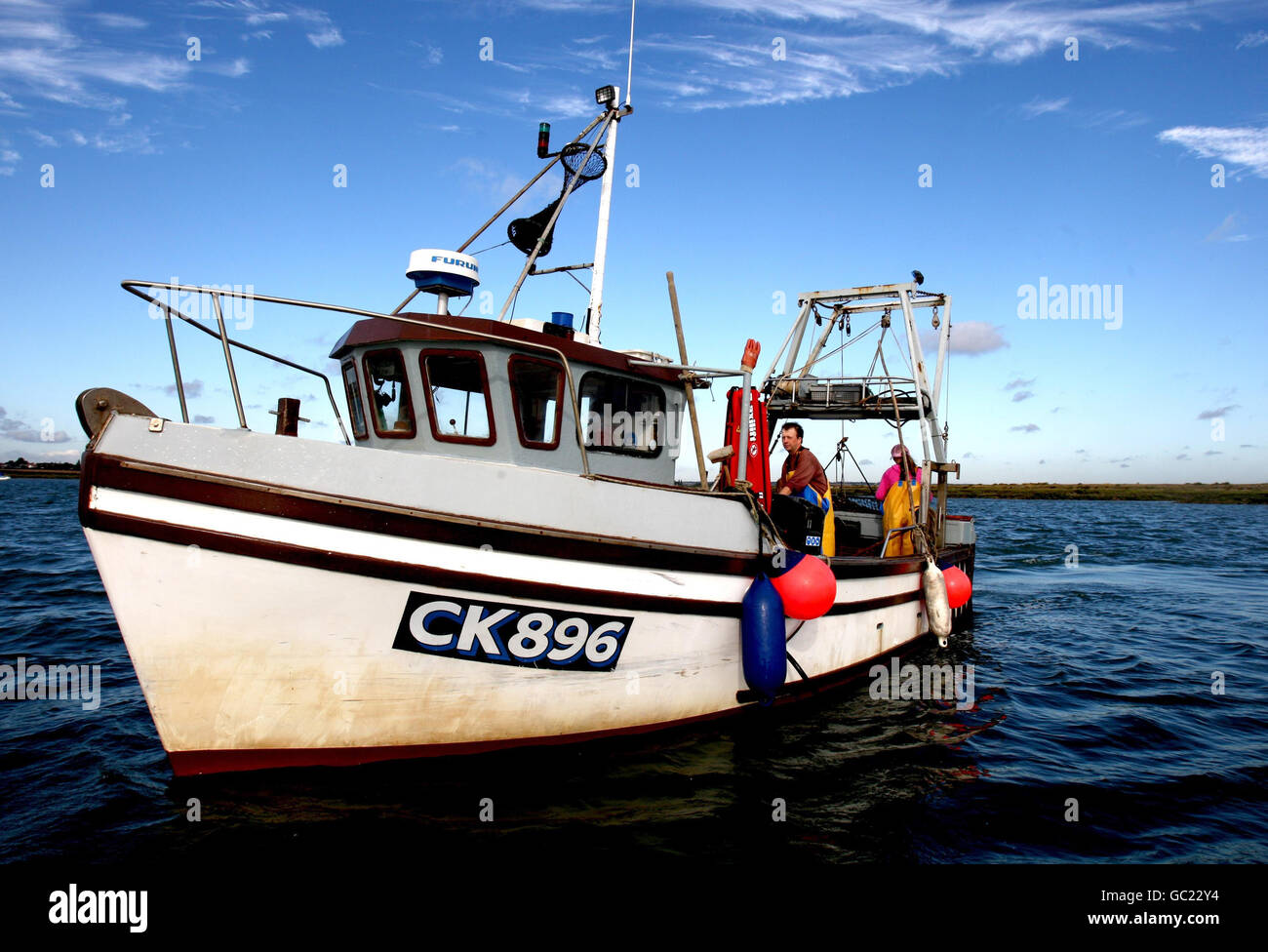 Pescatore David Gladwell, 42 anni, raccogliendo ostriche a bordo della ...