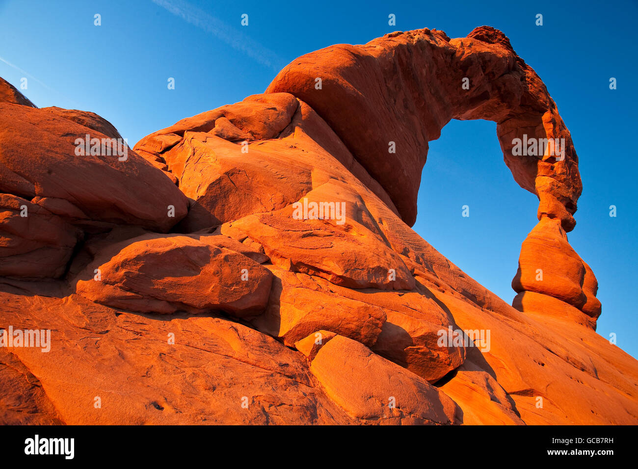 Arco plantare immagini e fotografie stock ad alta risoluzione - Alamy