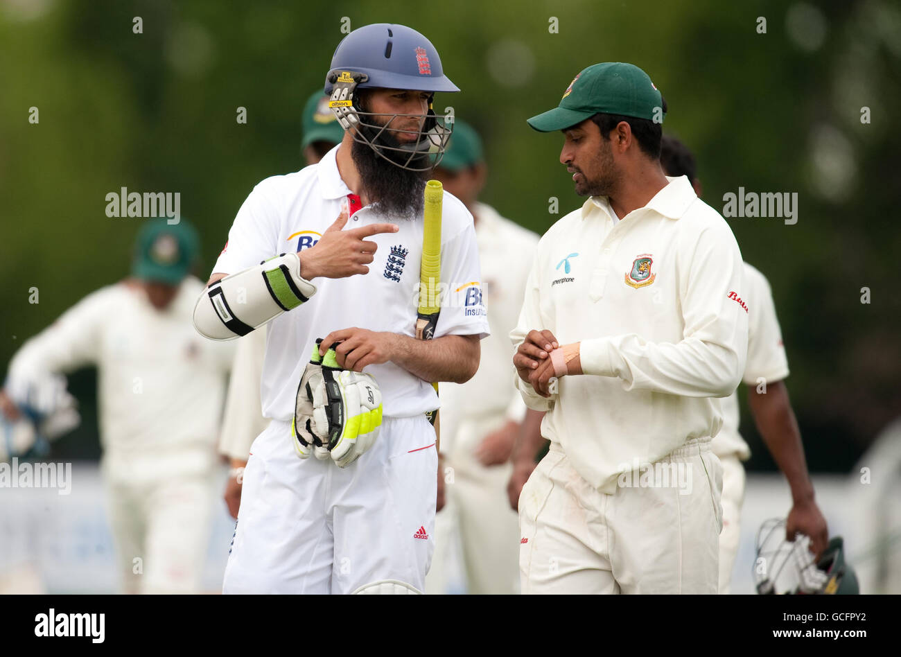 Barba di leoni immagini e fotografie stock ad alta risoluzione - Alamy