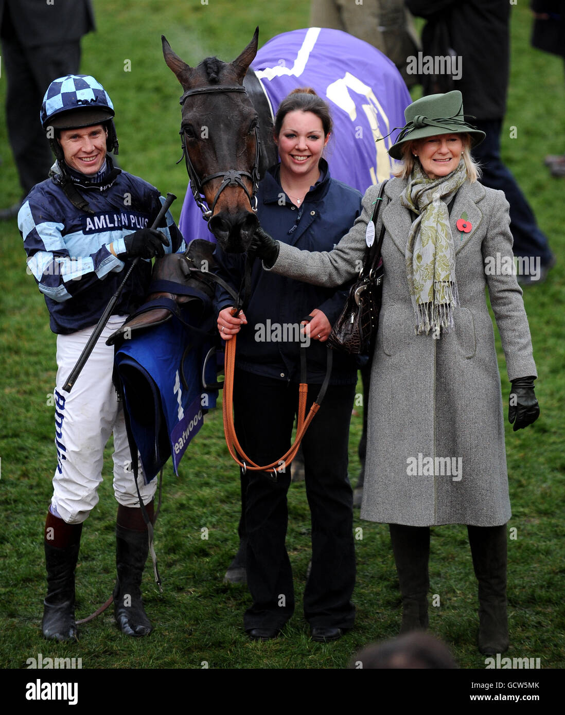 Owner diana whateley immagini e fotografie stock ad alta risoluzione ...