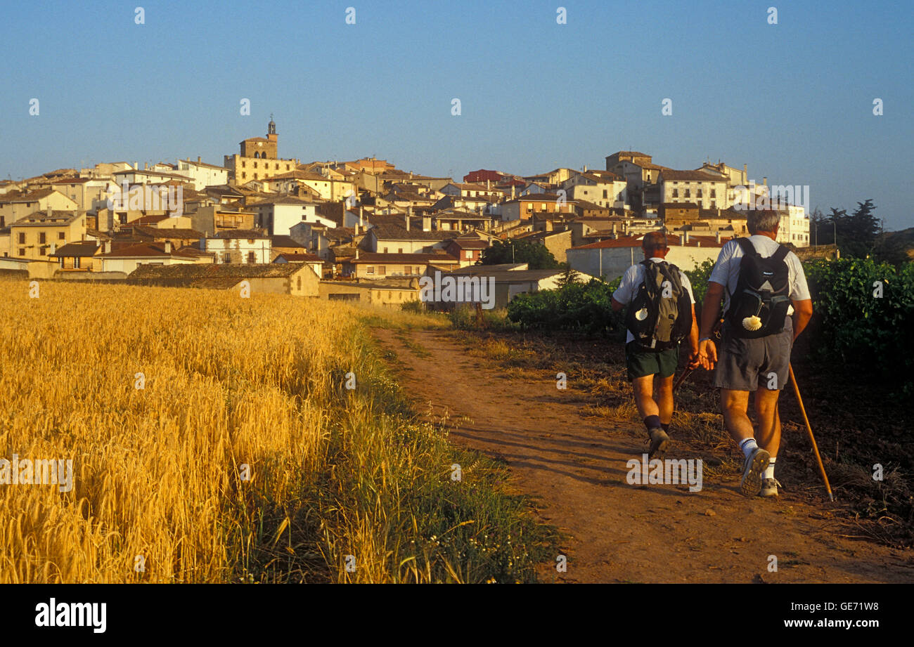 Pellegrini in cammino di Cirauqui. Navarra. Spagna. Camino de Santiago ...