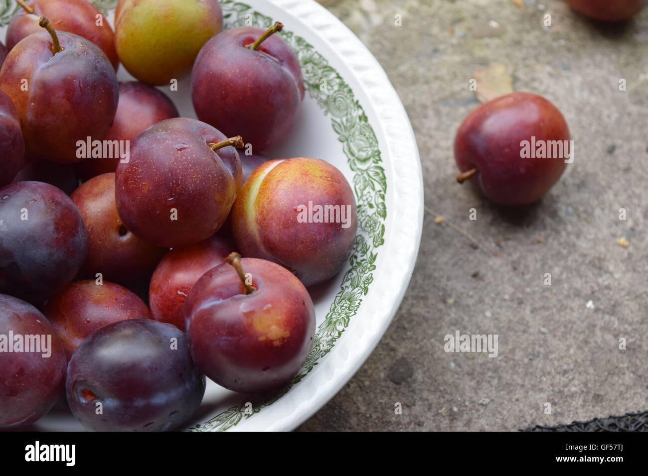 Prugne selvatiche immagini e fotografie stock ad alta risoluzione - Alamy