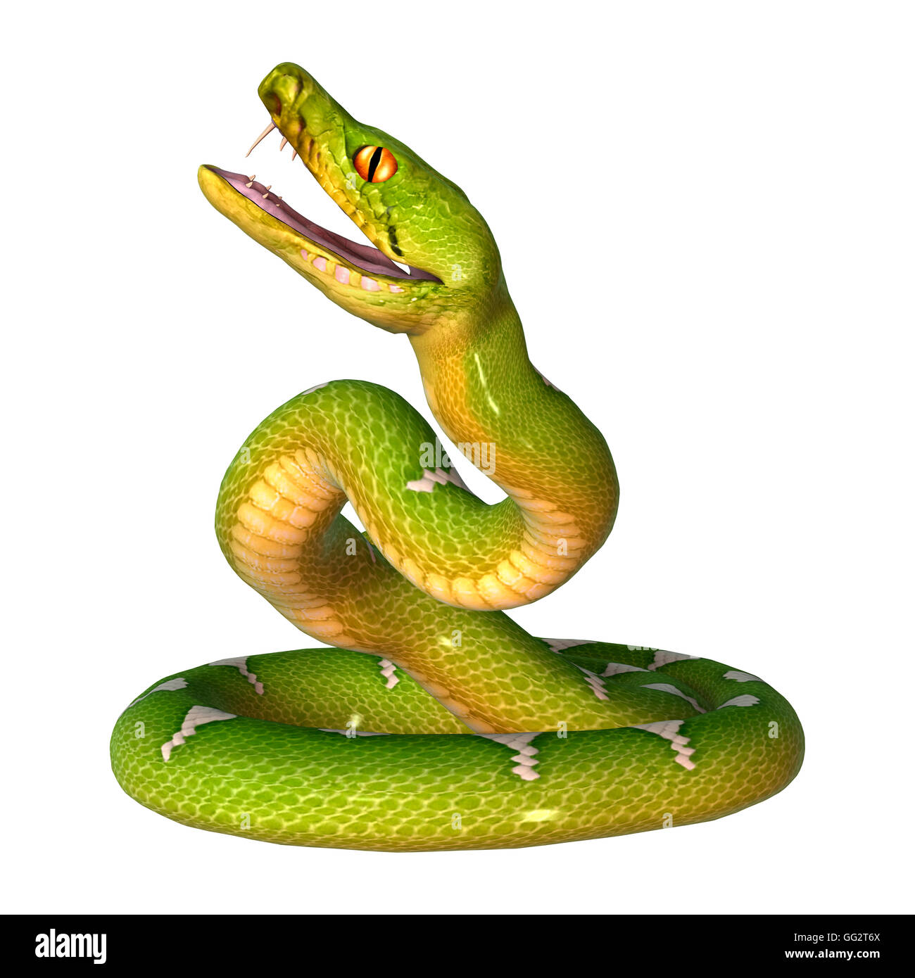 3D rendering di Morelia viridis, o green tree python o herpetoculture ...